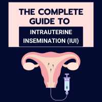 The Complete Guide to Intrauterine Insemination (IUI)
